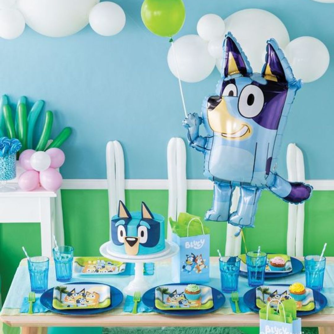 Throwing The Best Bluey Party In NZ – Build a Birthday NZ