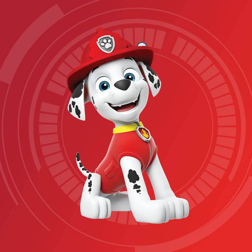 Paw Patrol Marshall Party Supplies NZ Build a Birthday Online – Build a ...