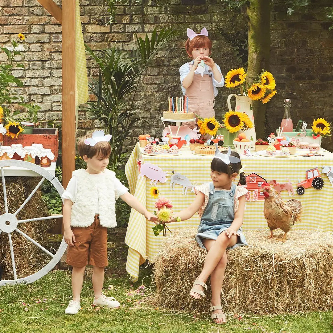 Meri Meri On The Farm Party Supplies NZ Build a Birthday Online – Build ...
