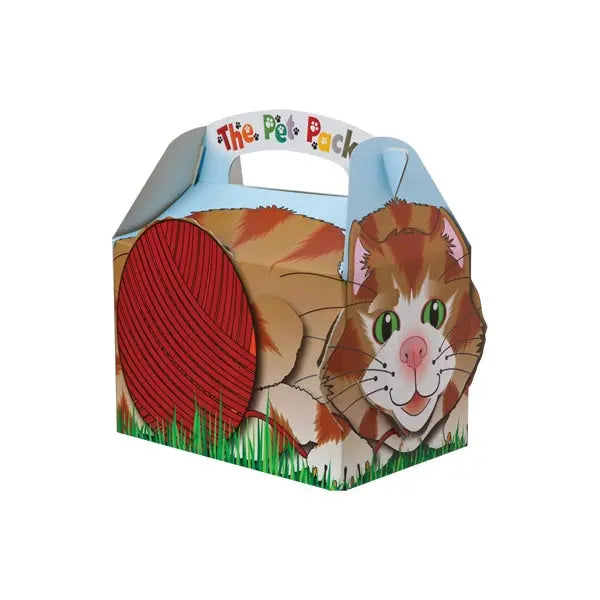 Cat Treat Box – Build a Birthday NZ