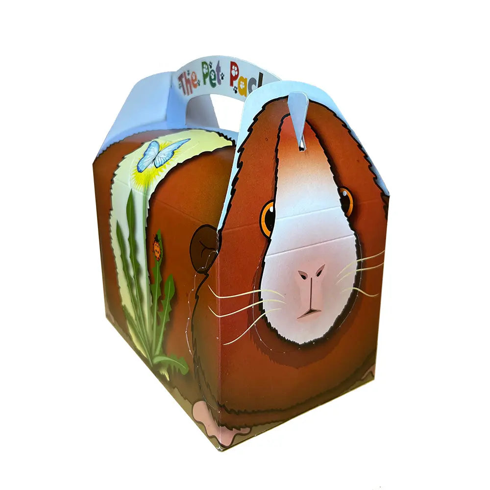 Guinea Pig Treat Box – Build a Birthday NZ